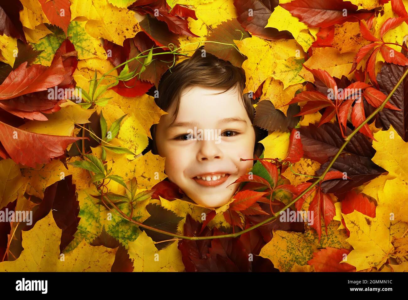 Artistic conceptual autumn boy portrait. Colorful leaves. Leaves of ...