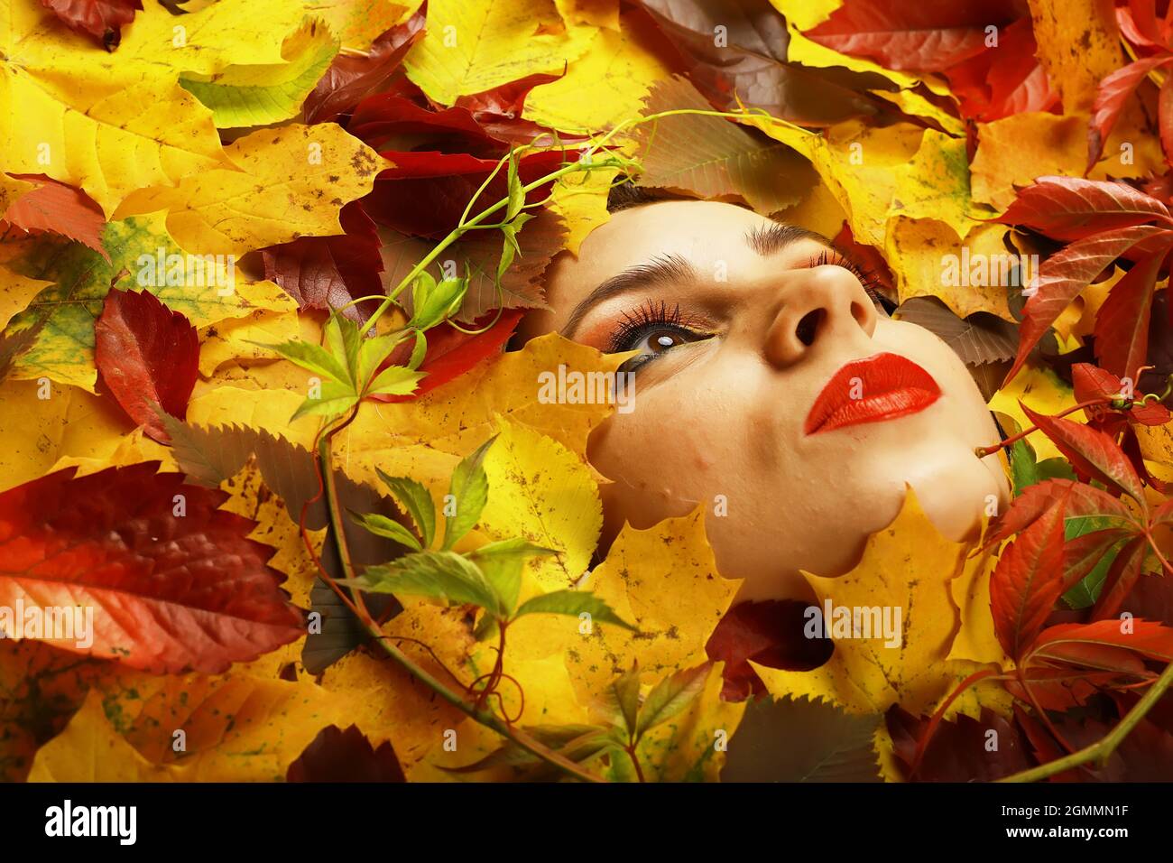 Artistic conceptual autumn portrait. Colorful leaves. Leaves of trees ...