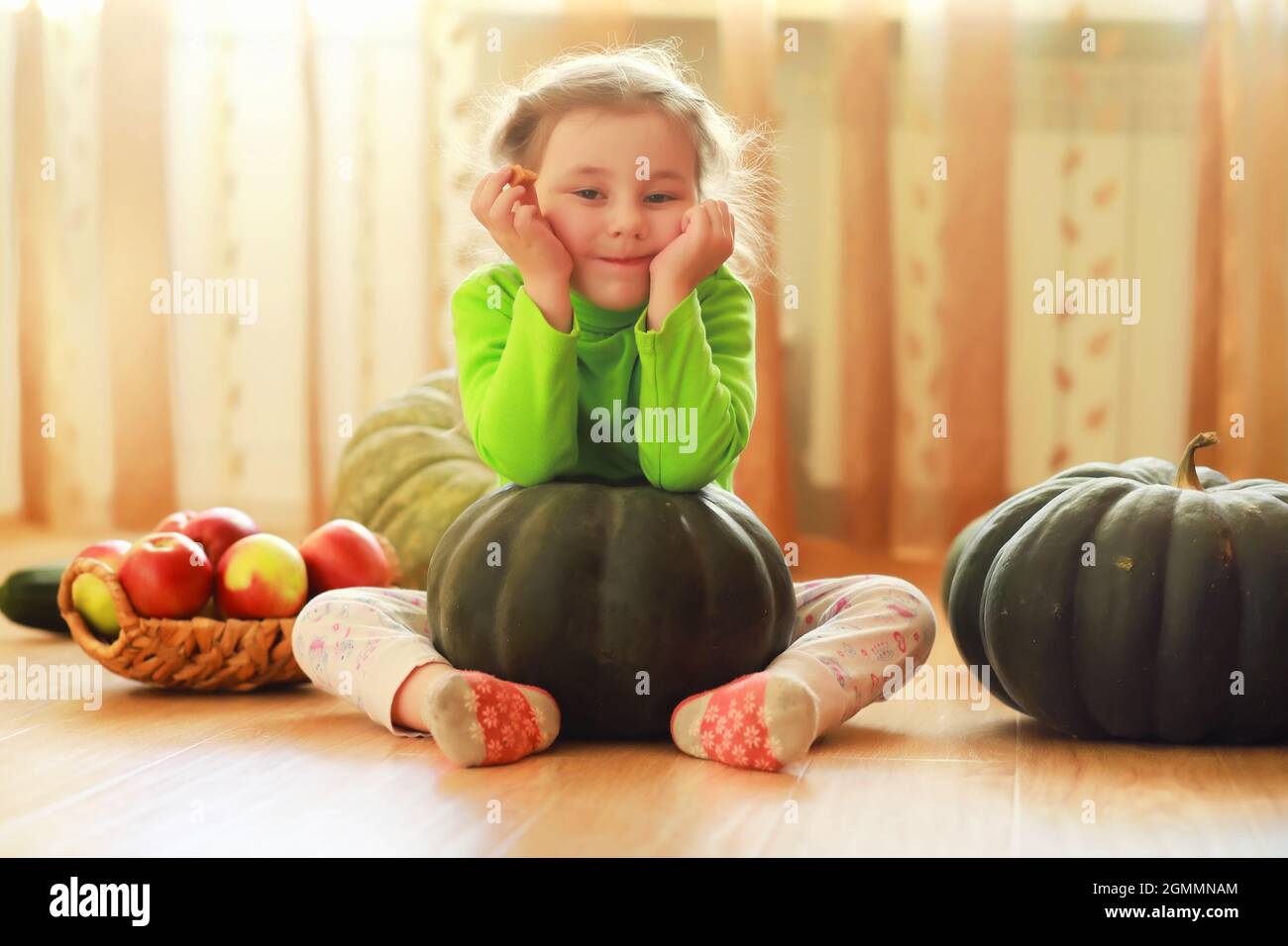 Little child choose a pumpkin autumn. Child sitting on giant pumpkin ...