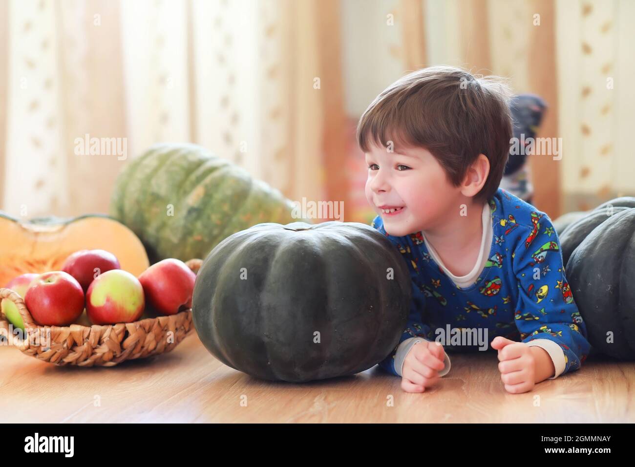 Little child choose a pumpkin autumn. Child sitting on giant pumpkin ...