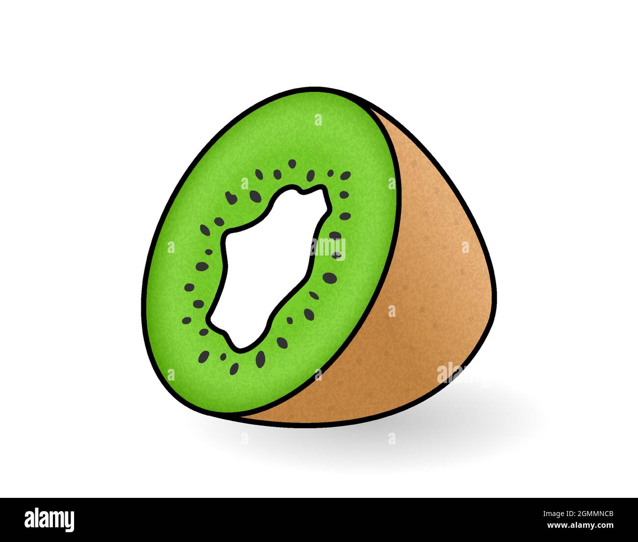 Naturally Drawn Green Ripe Kiwi Cut in Half. Vector Illustration Stock ...