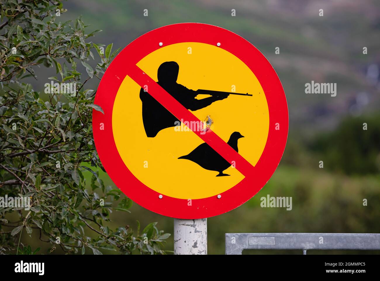 Shot Up No Shooting Sign Along A Nature Path Iceland Stock Photo Alamy shot-up-no-shooting-sign-along-a-nature-path-iceland-stock-photo-alamy