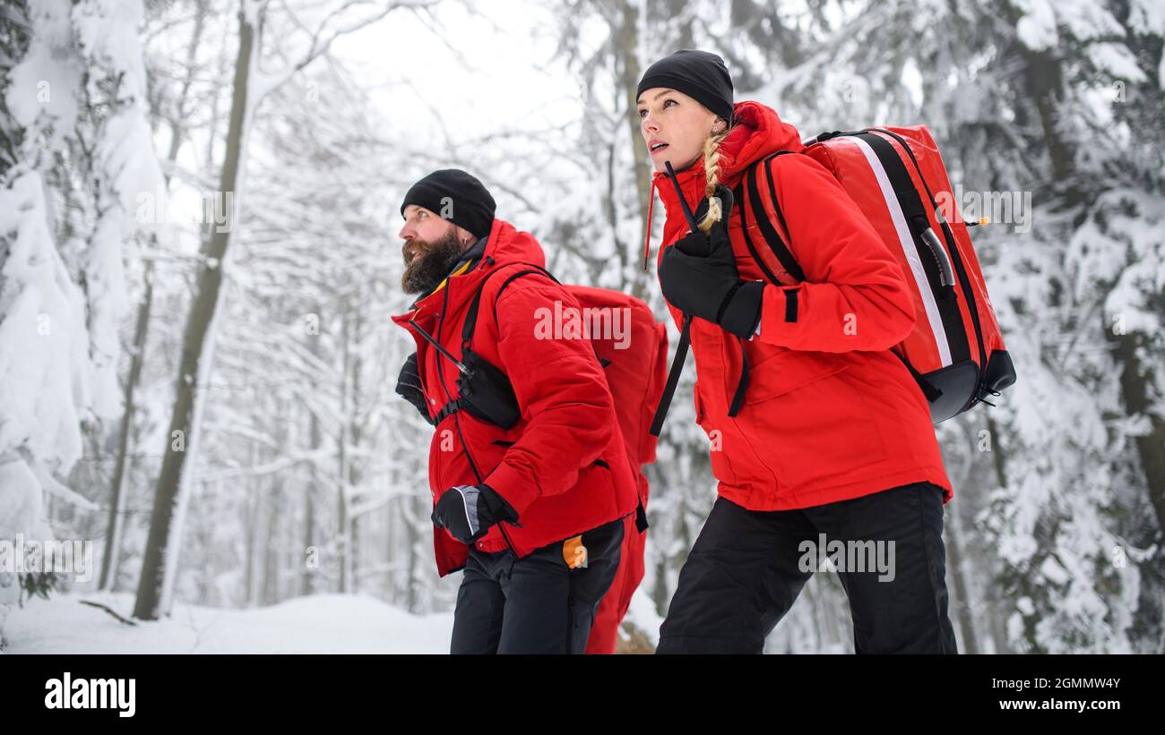 Low angle view of paramedics from mountain rescue service walking ...