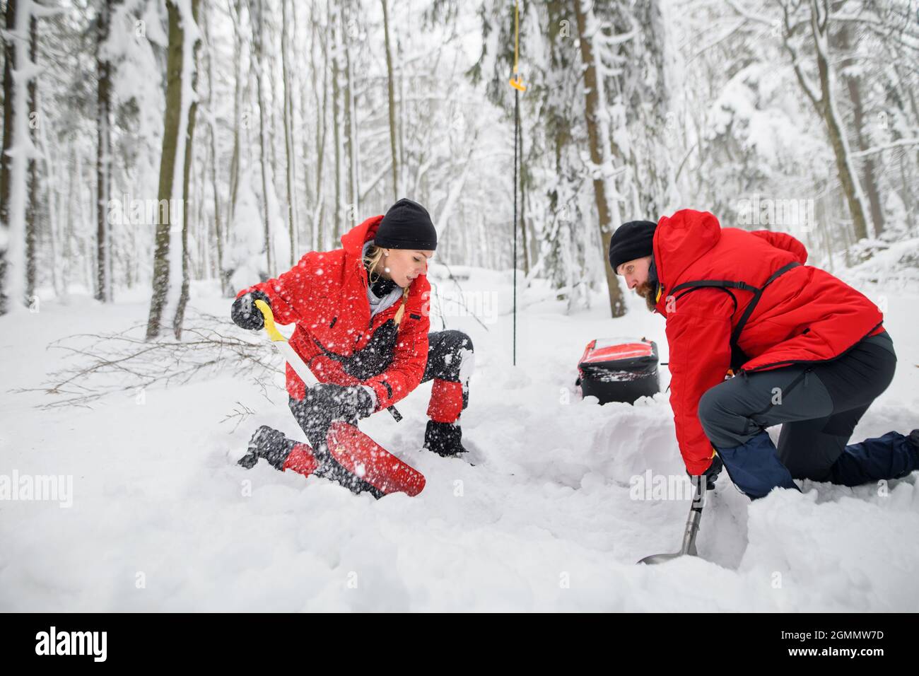 Mountain rescue service on operation outdoors in winter in forest ...