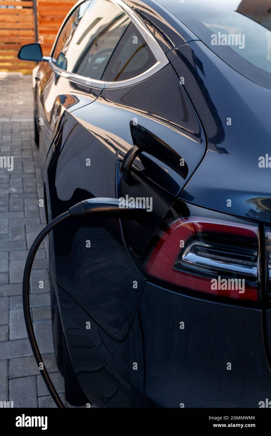 Back part of black electric car during charge at contemporary station ...