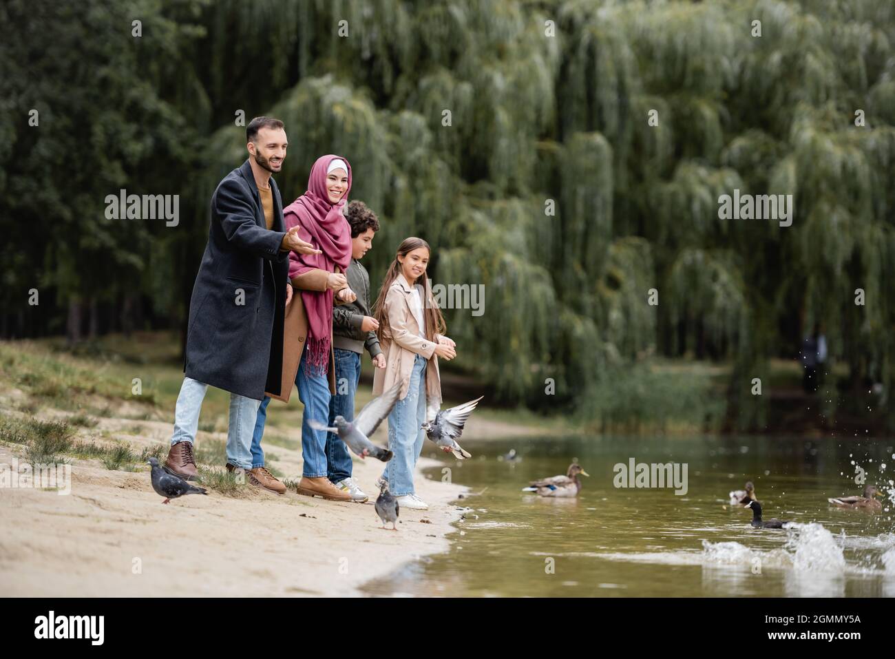Smiling ducks animals hi-res stock photography and images - Alamy