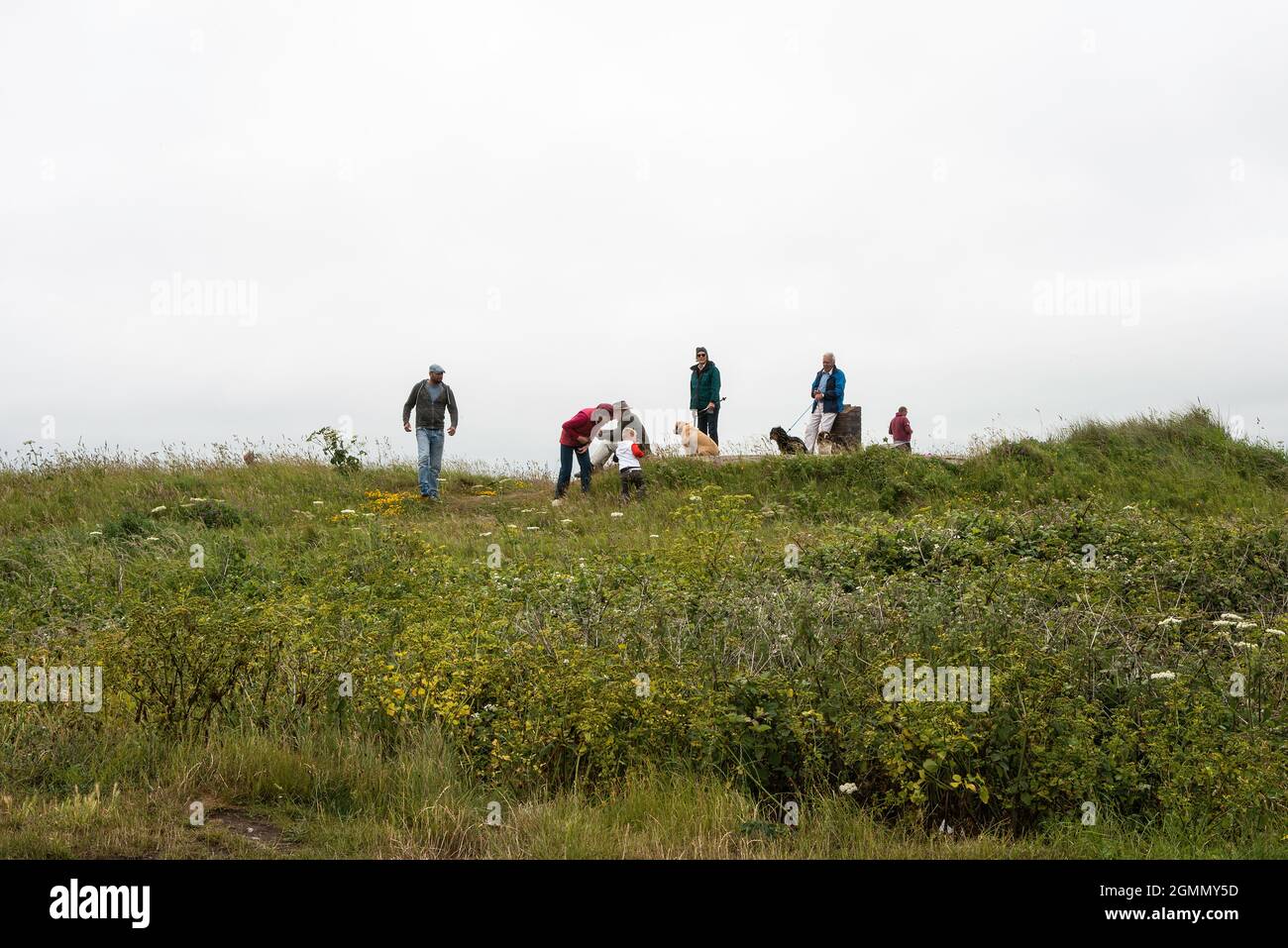 Group of people Stock Photo - Alamy