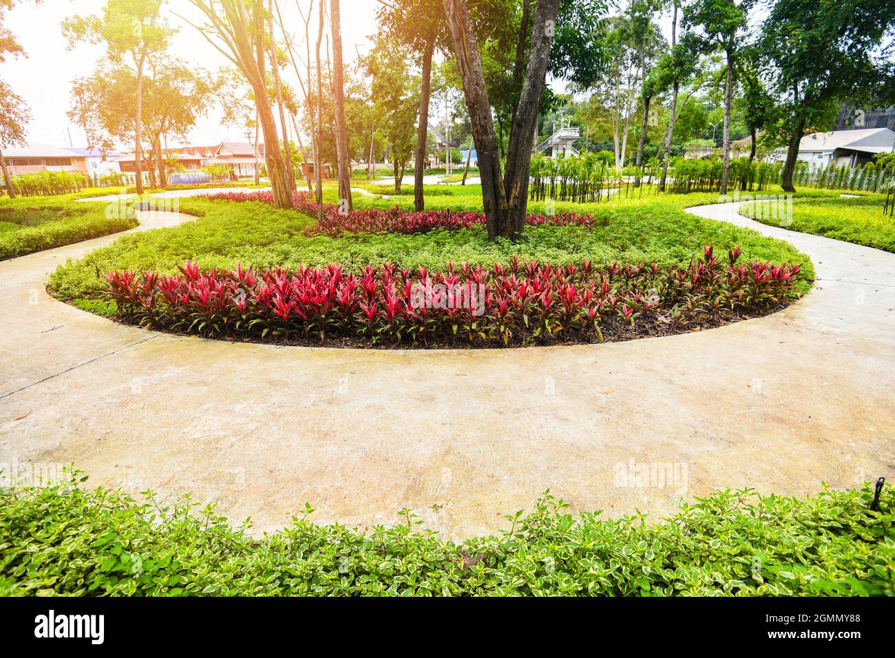 Park tree in the morning with footpath pathway with green plant and ...