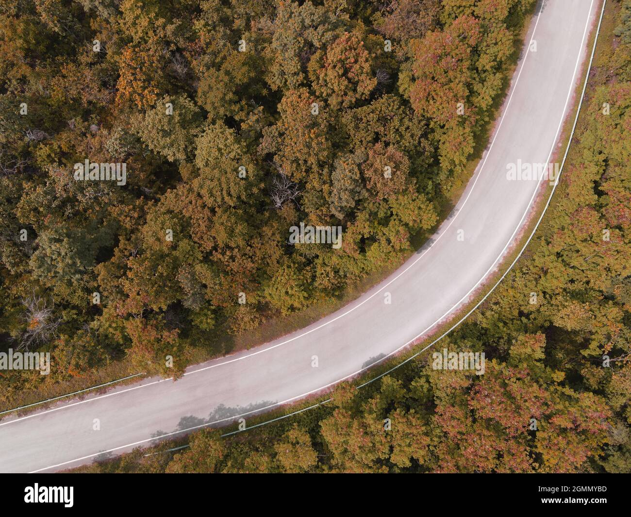Aerial view car on road forest tree environment forest nature ...