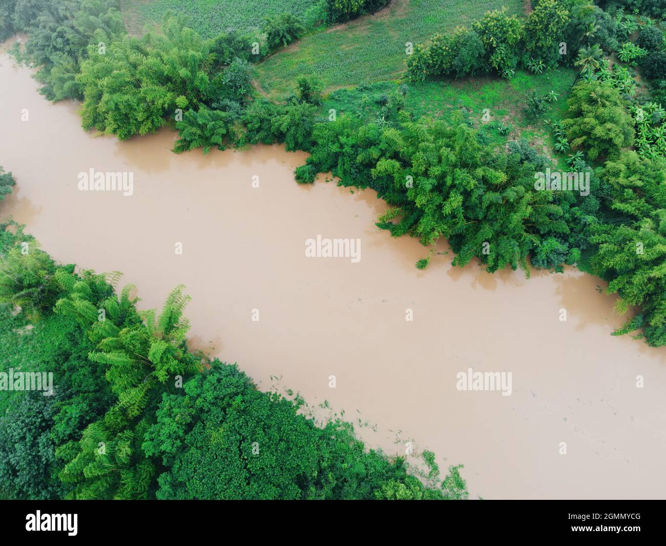 Aerial view river flood forest nature woodland area green tree, Top ...