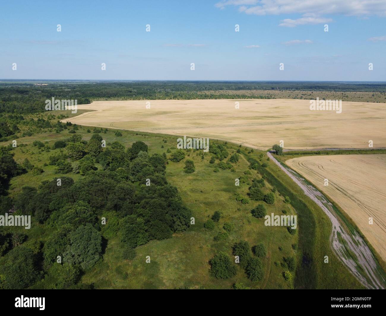 Green deciduous forest next to a farm field. Landscape from a bird's ...