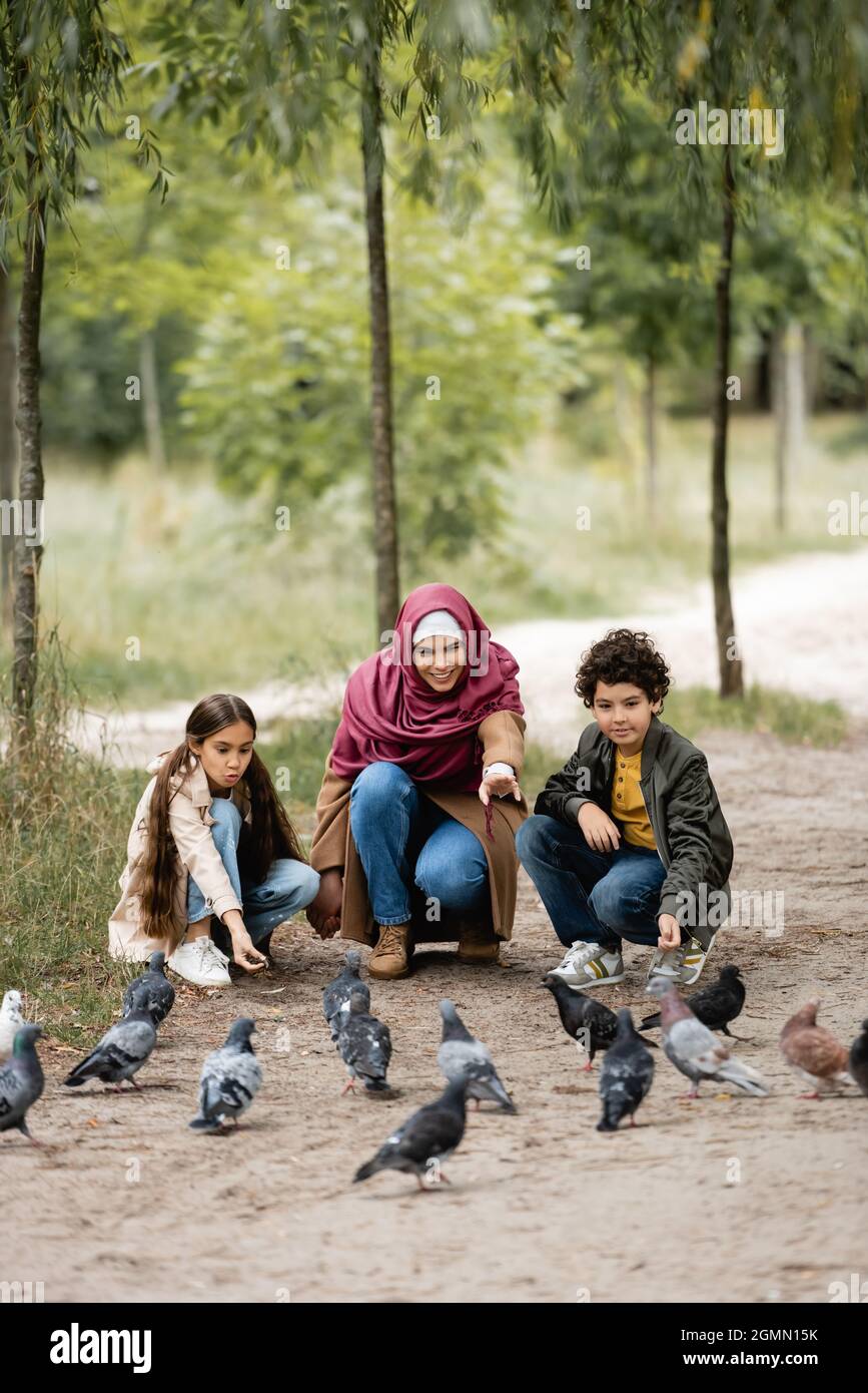 Boy pointing birds hi-res stock photography and images - Alamy