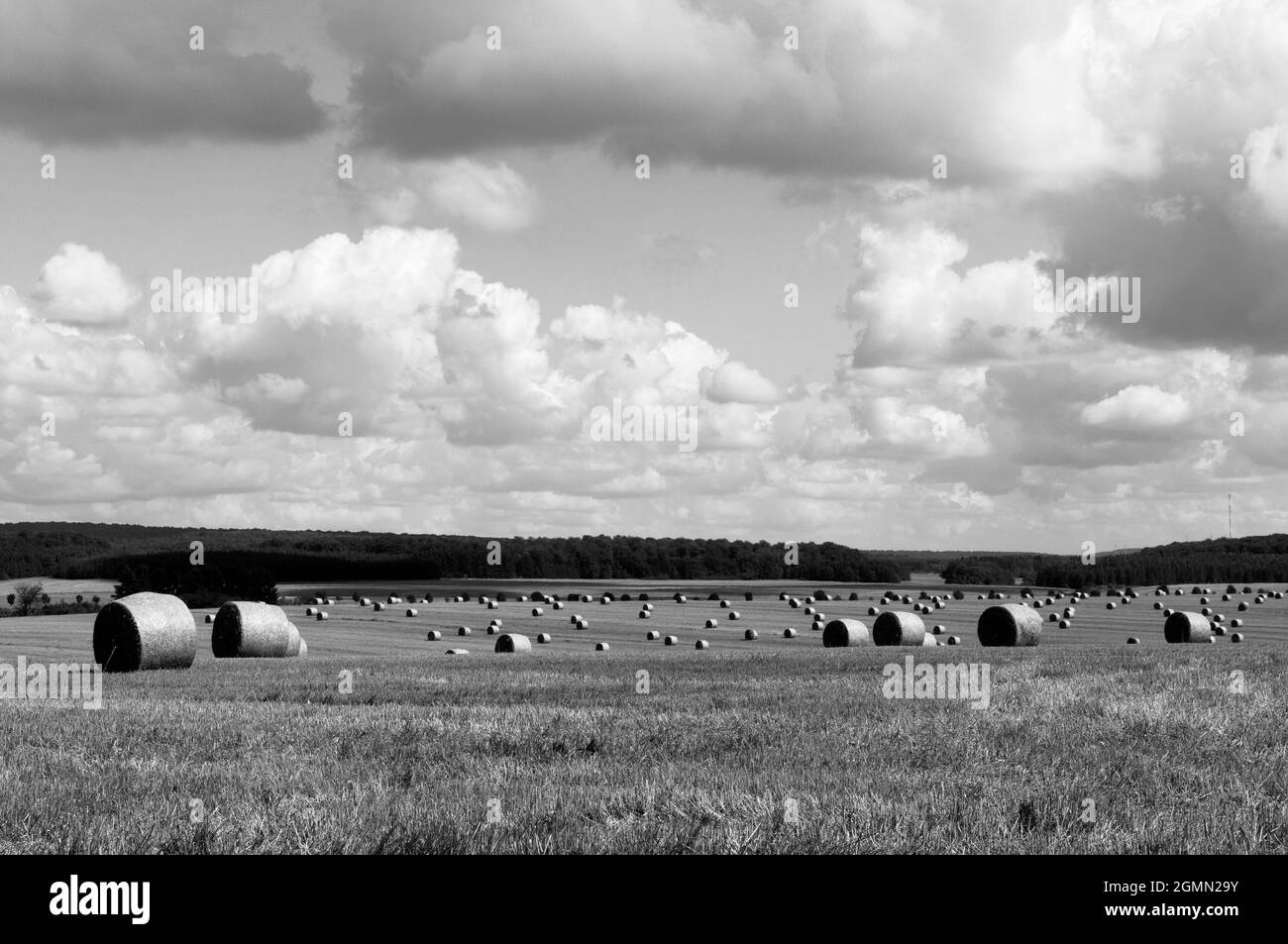 Rolls with hay Black and White Stock Photos & Images - Alamy