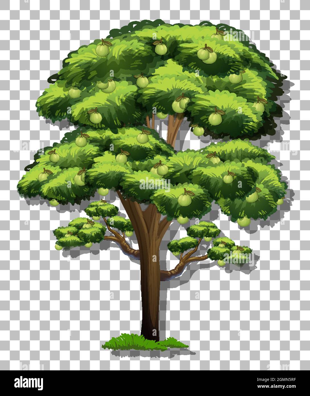 Guava tree on transparent background illustration Stock Vector Image ...