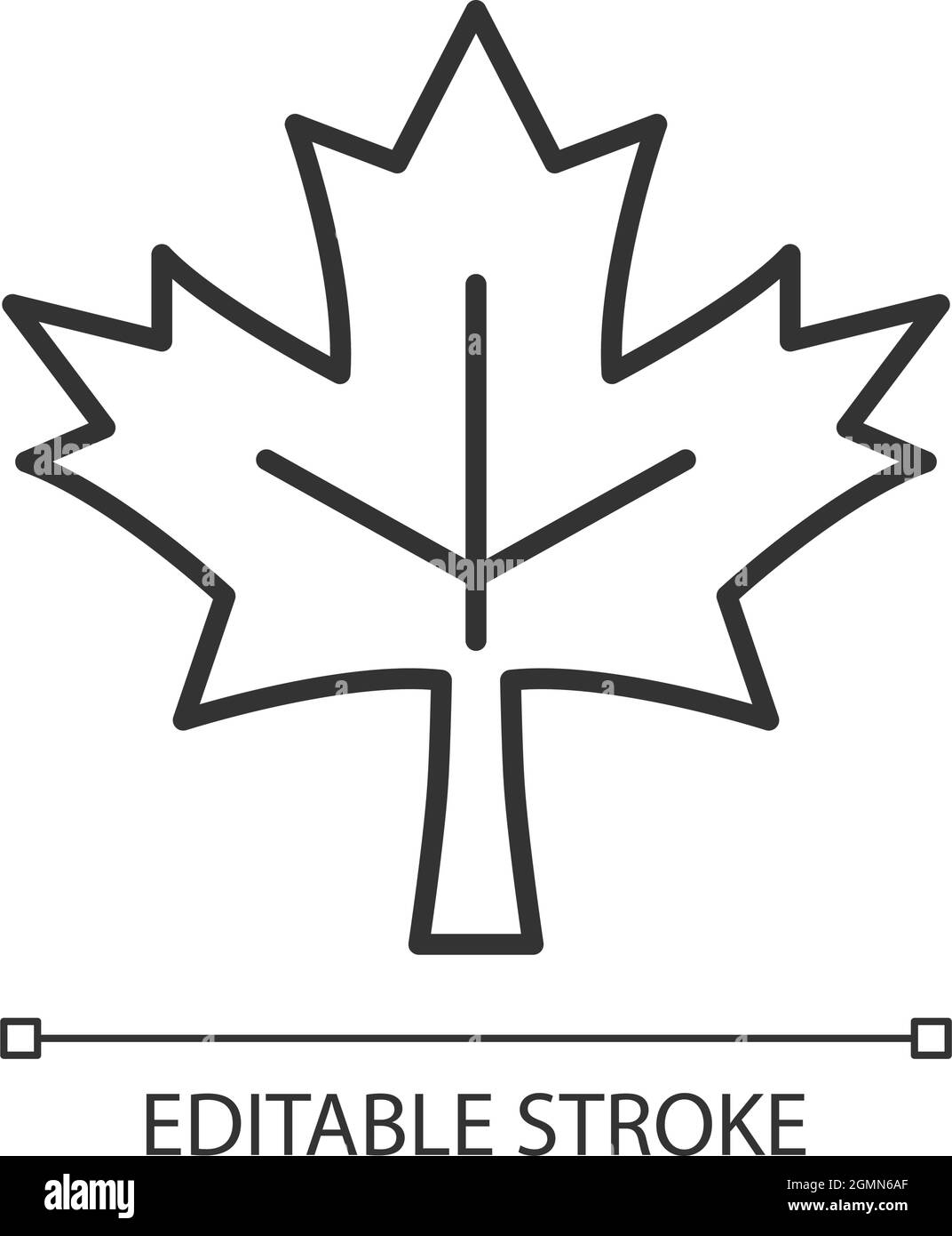 Maple leaf linear icon Stock Vector Image & Art - Alamy