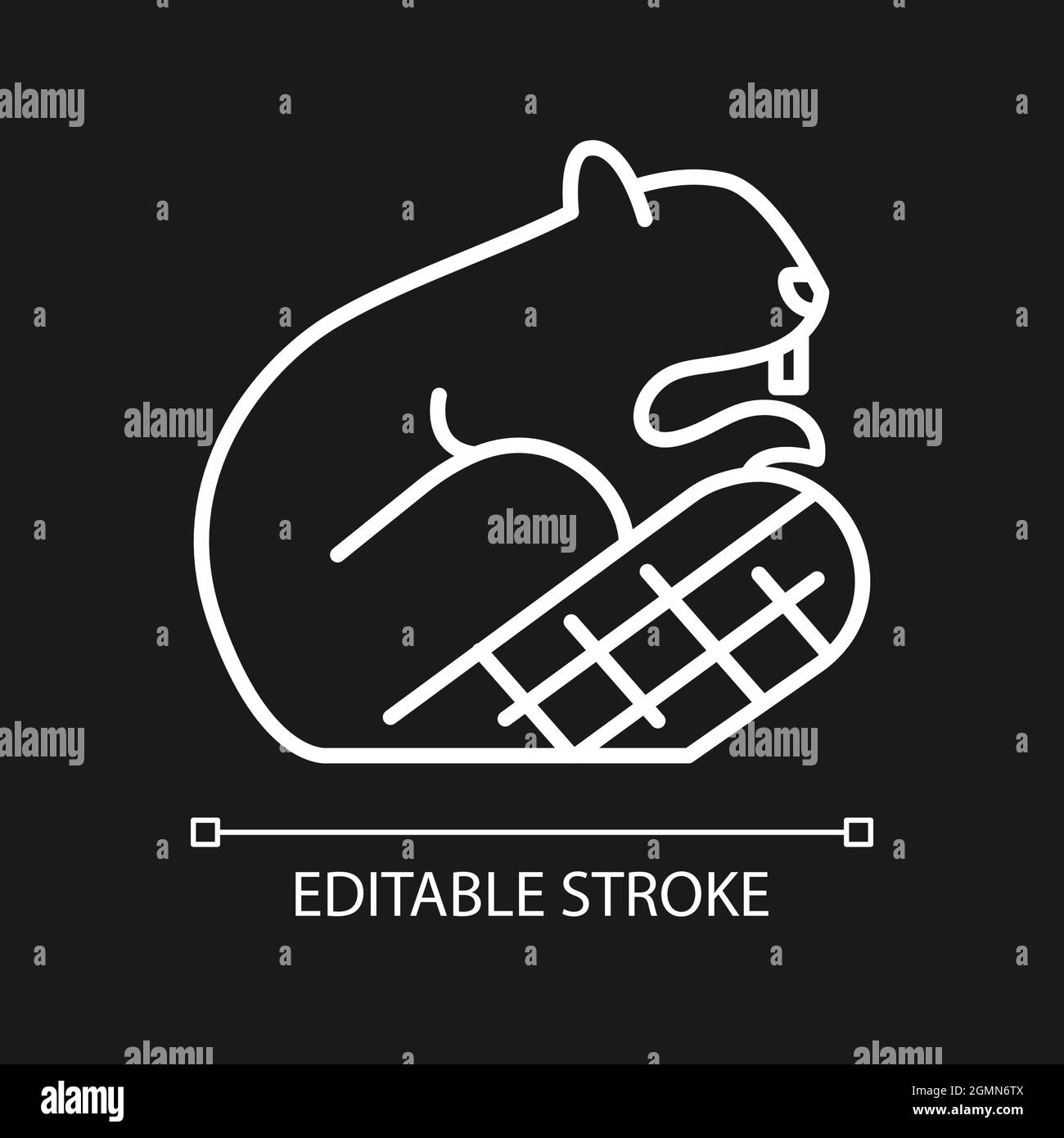 Beaver linear icon Stock Vector Images - Alamy