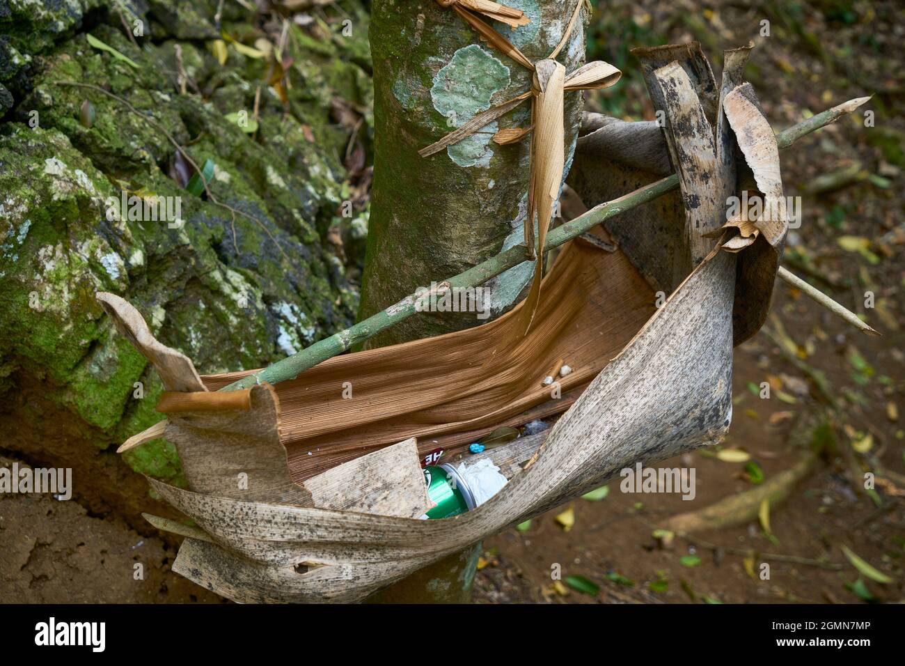 dustbin made from the leaves of a tropical plant, Cuba, Artemisa, Salto ...