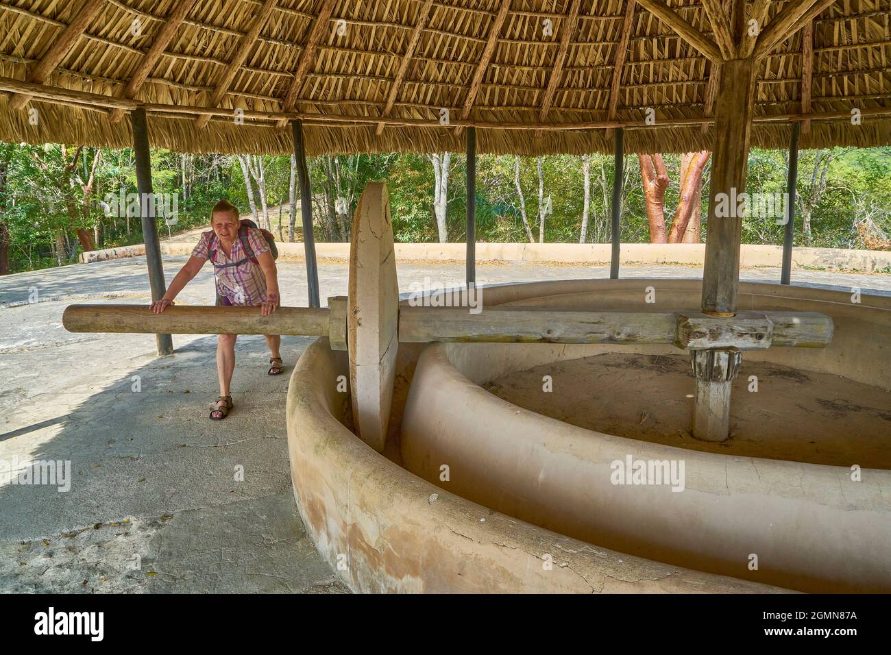 Woman pushing a mill wheel at a coffee plantation, Cuba, Artemisa, Las ...