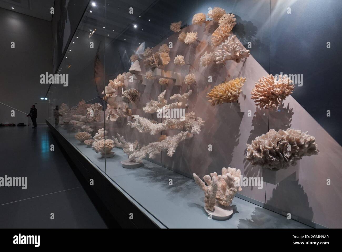 Humboldt of case hi-res stock photography and images - Alamy