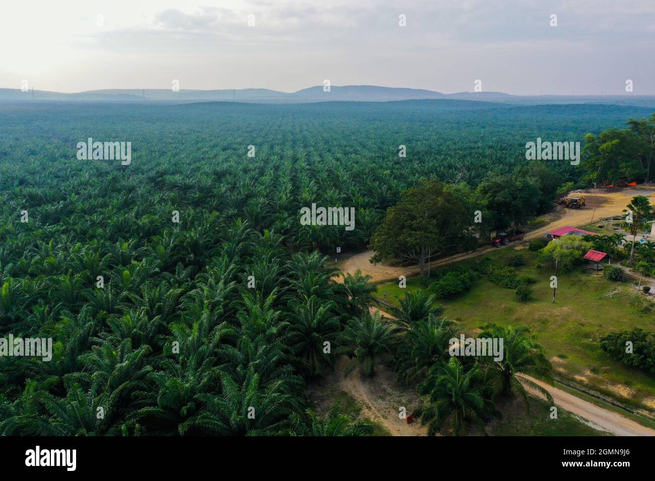 moment with nature in tropical country Stock Photo - Alamy