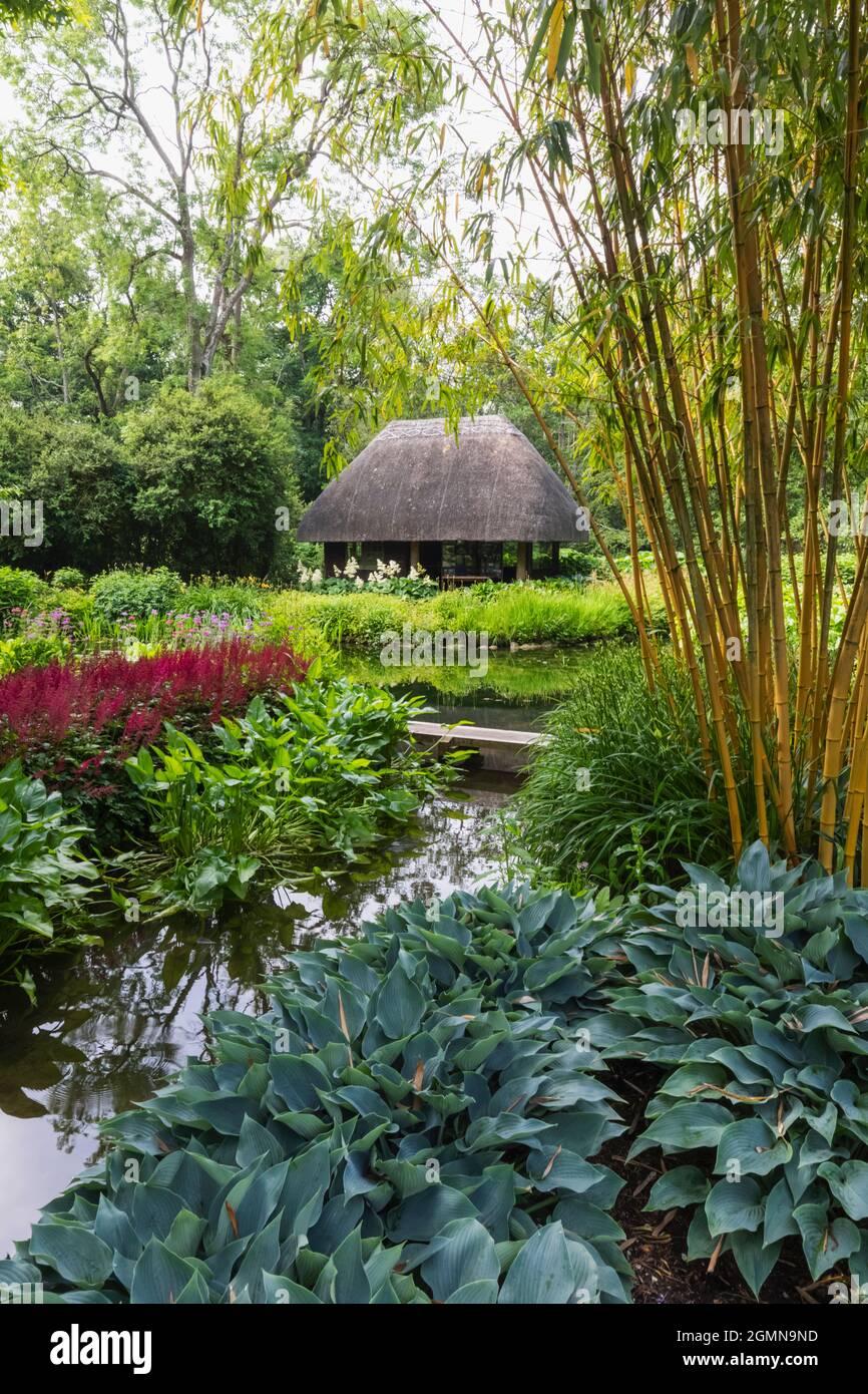 England, Hampshire, Test Valley, Stockbridge, Longstock, Leckford ...