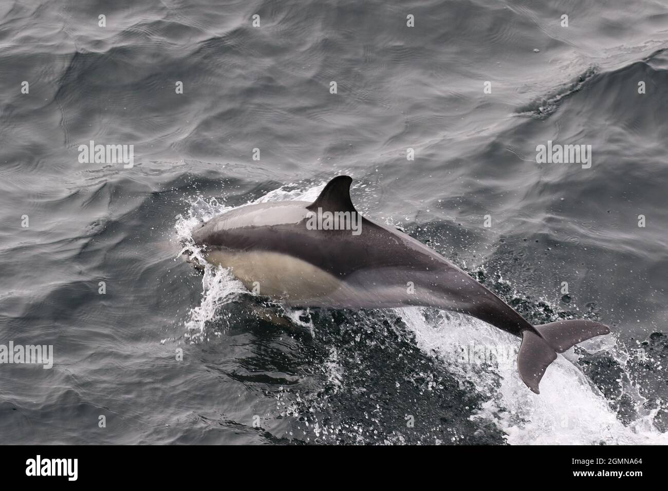 Sequence of 9 photographs hi-res stock photography and images - Alamy