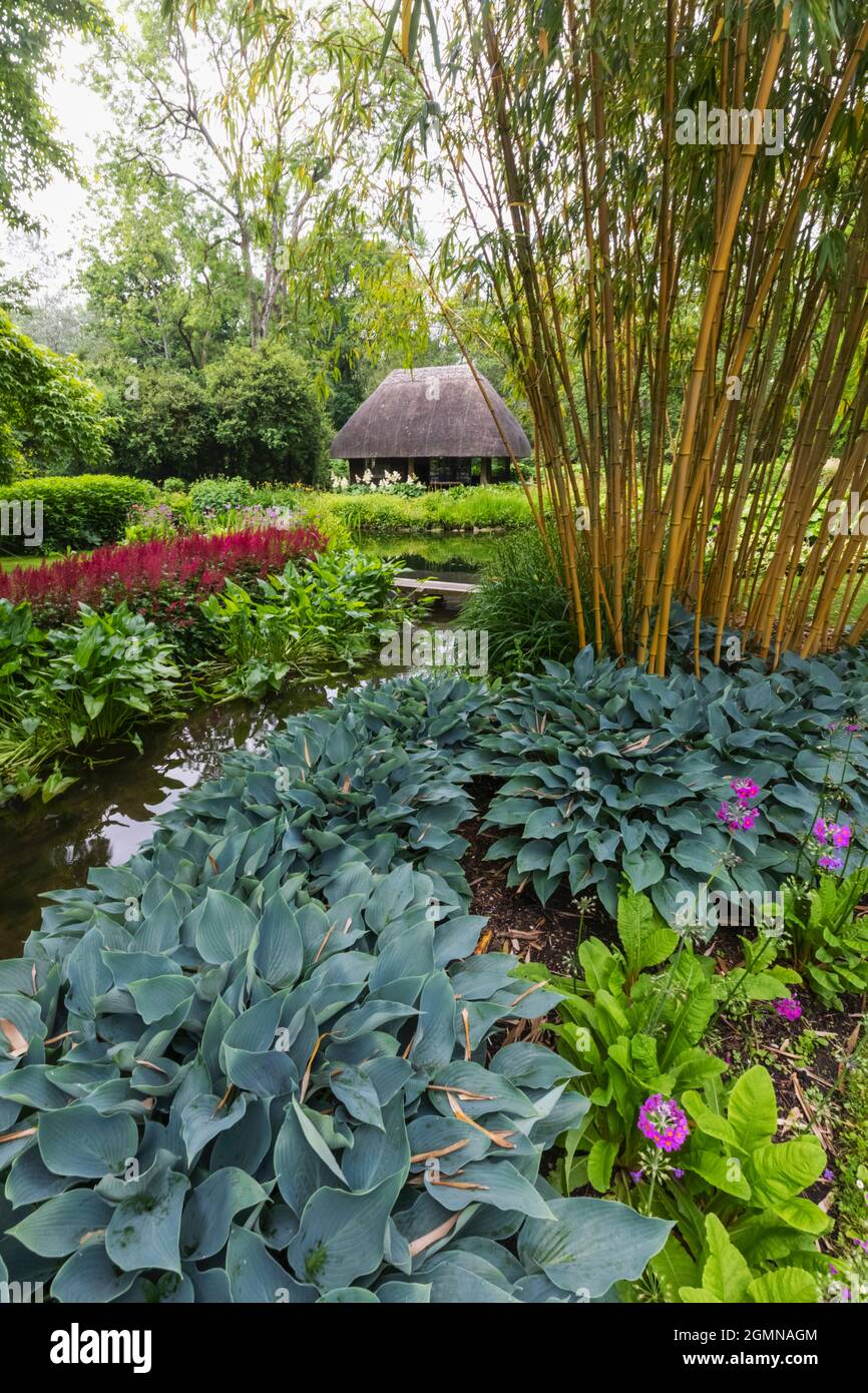 England, Hampshire, Test Valley, Stockbridge, Longstock, Leckford ...