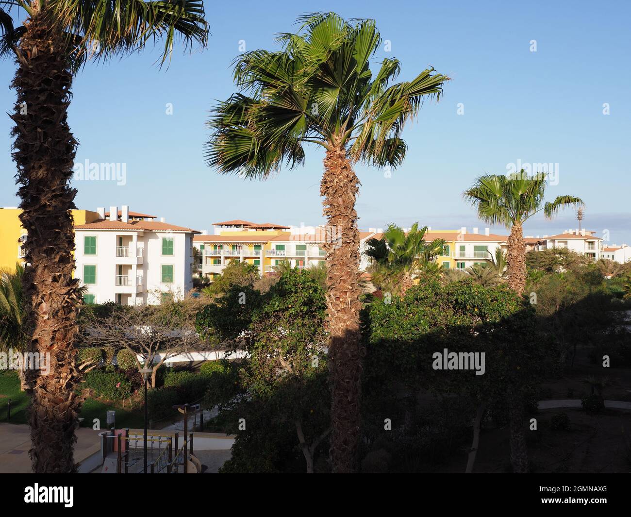 Palm trees and holiday buildings on african Sal island in Cape Verde ...