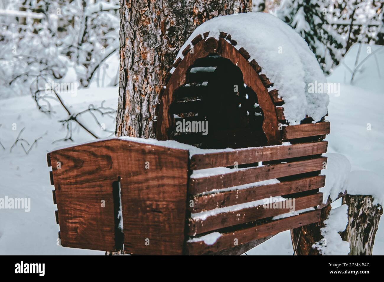 A baby cot abandoned in the winter forest. Wooden snow-covered cradle ...