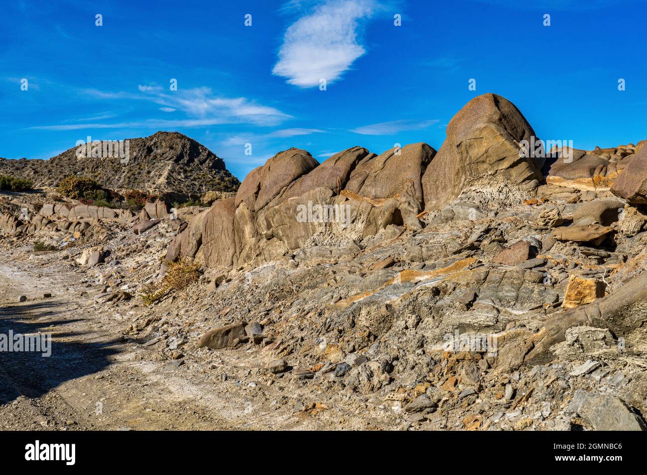 Dragon Tail, Colas de Dragon in Tabernas Desert in Almeria, Spain ...