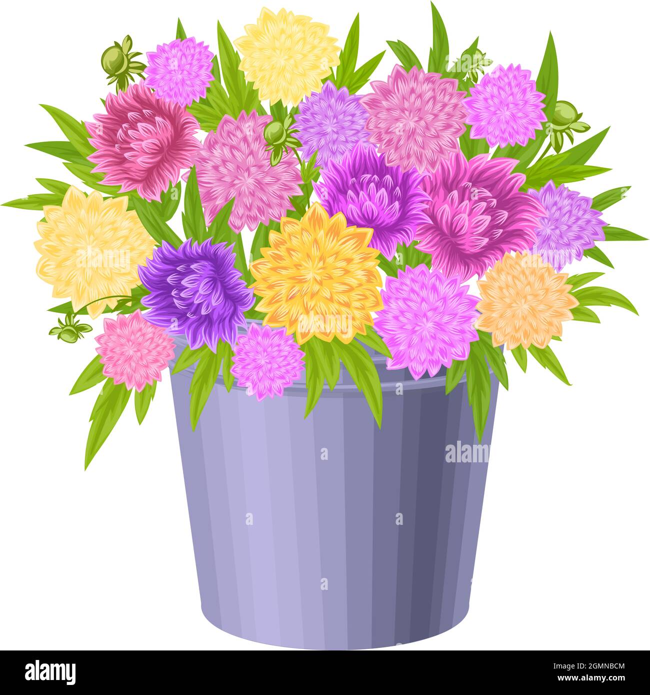 Spring colorful flowers in pots plants for home and garden, potted ...