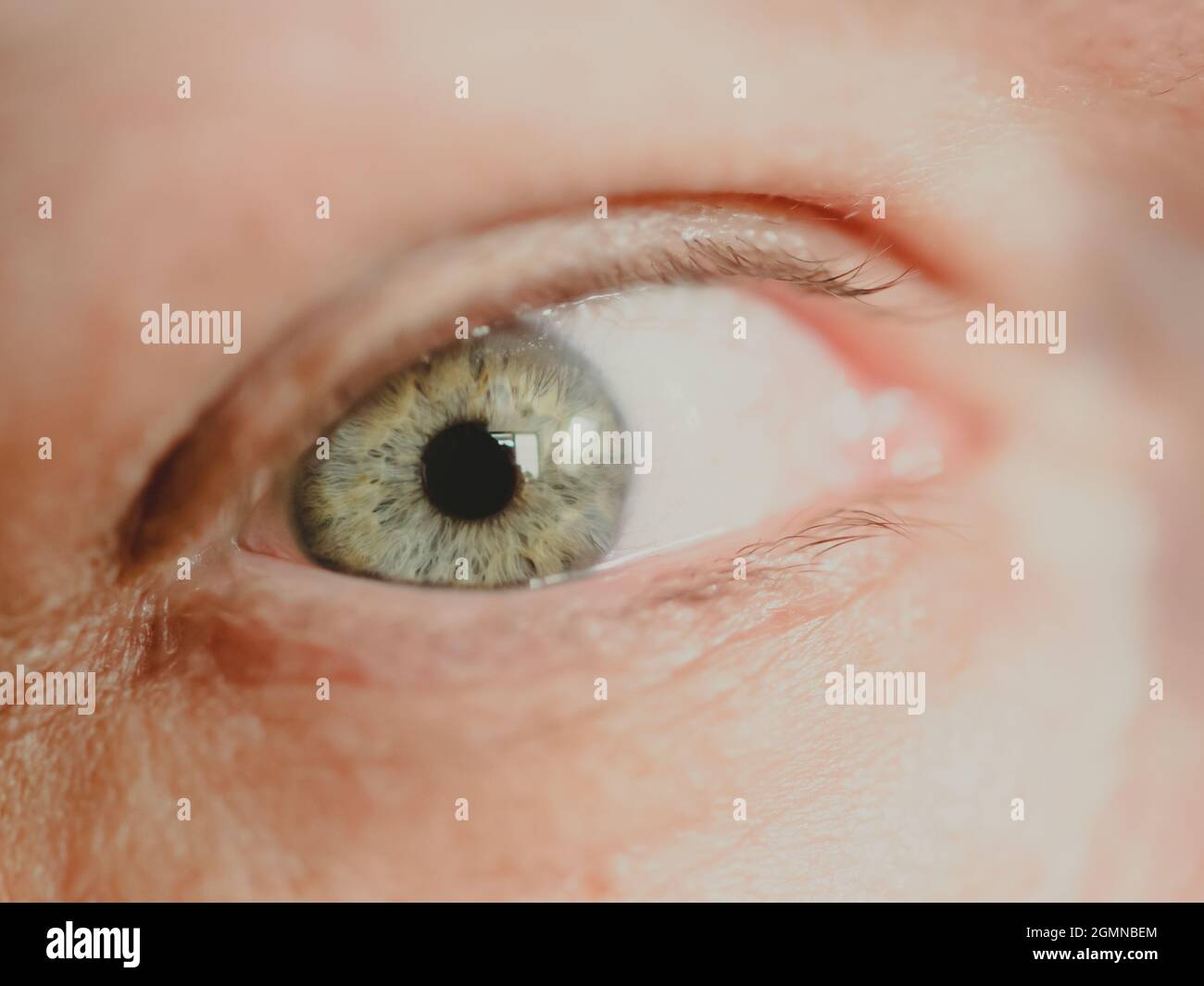human blue colored eye, close up photo Stock Photo - Alamy