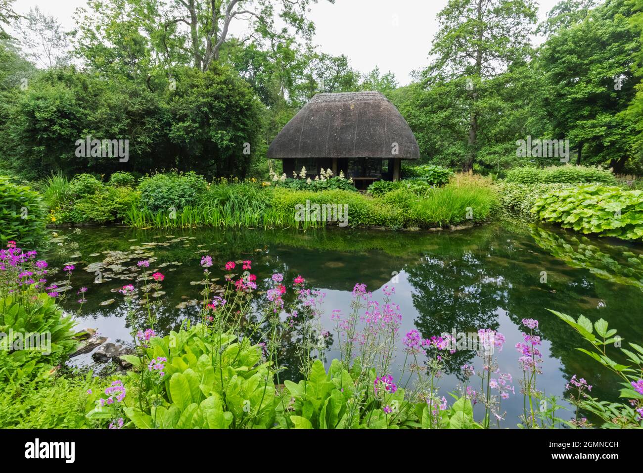 England, Hampshire, Test Valley, Stockbridge, Longstock, Leckford ...