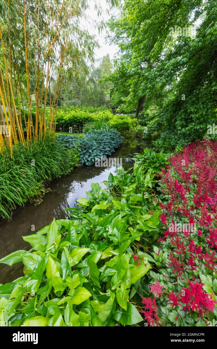 England, Hampshire, Test Valley, Stockbridge, Longstock, Leckford ...