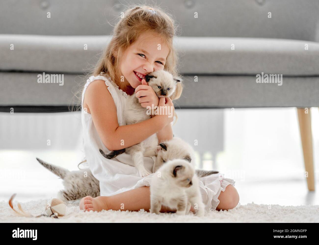 Girl with ragdoll kittens Stock Photo - Alamy