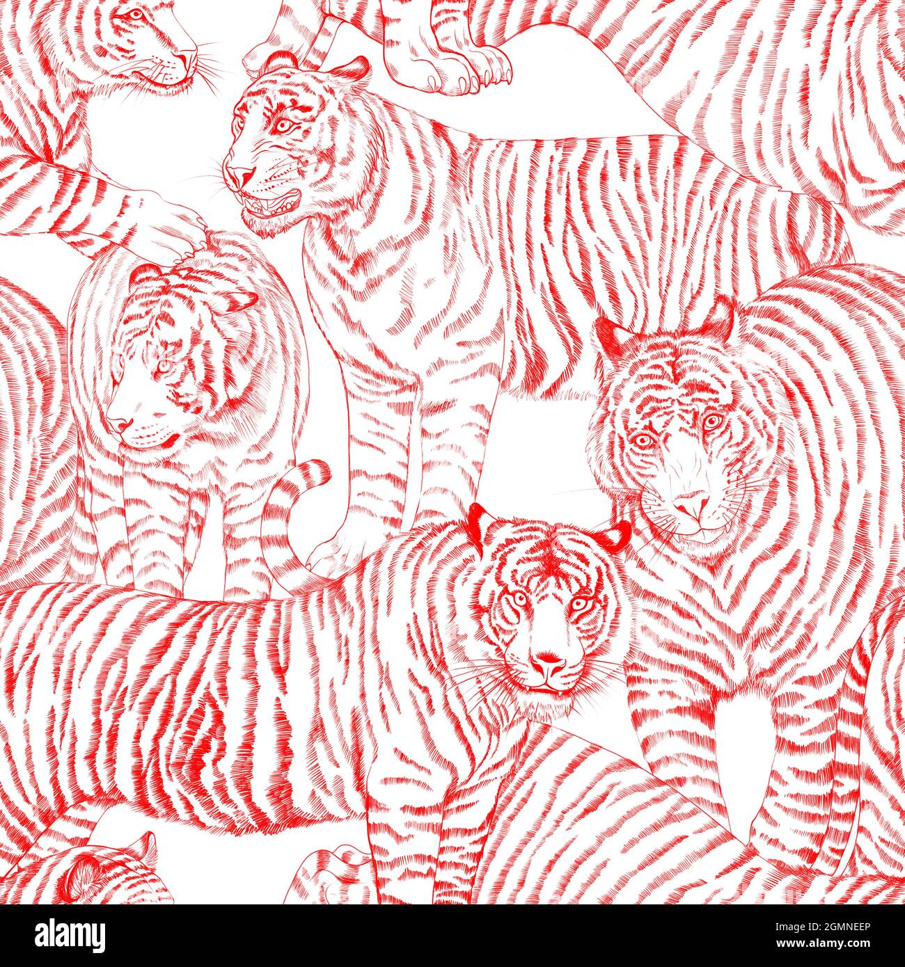 Pattern. Red tigers in different poses on a white background Stock ...