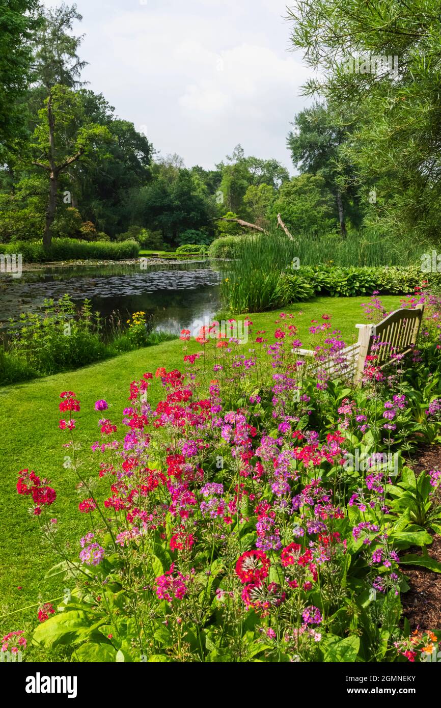 England, Hampshire, Test Valley, Stockbridge, Longstock, Leckford ...