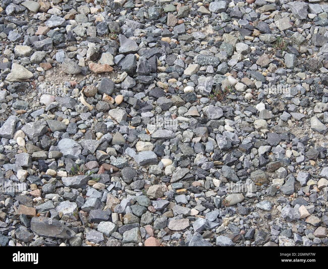 Pebble on the ground Stock Photo - Alamy