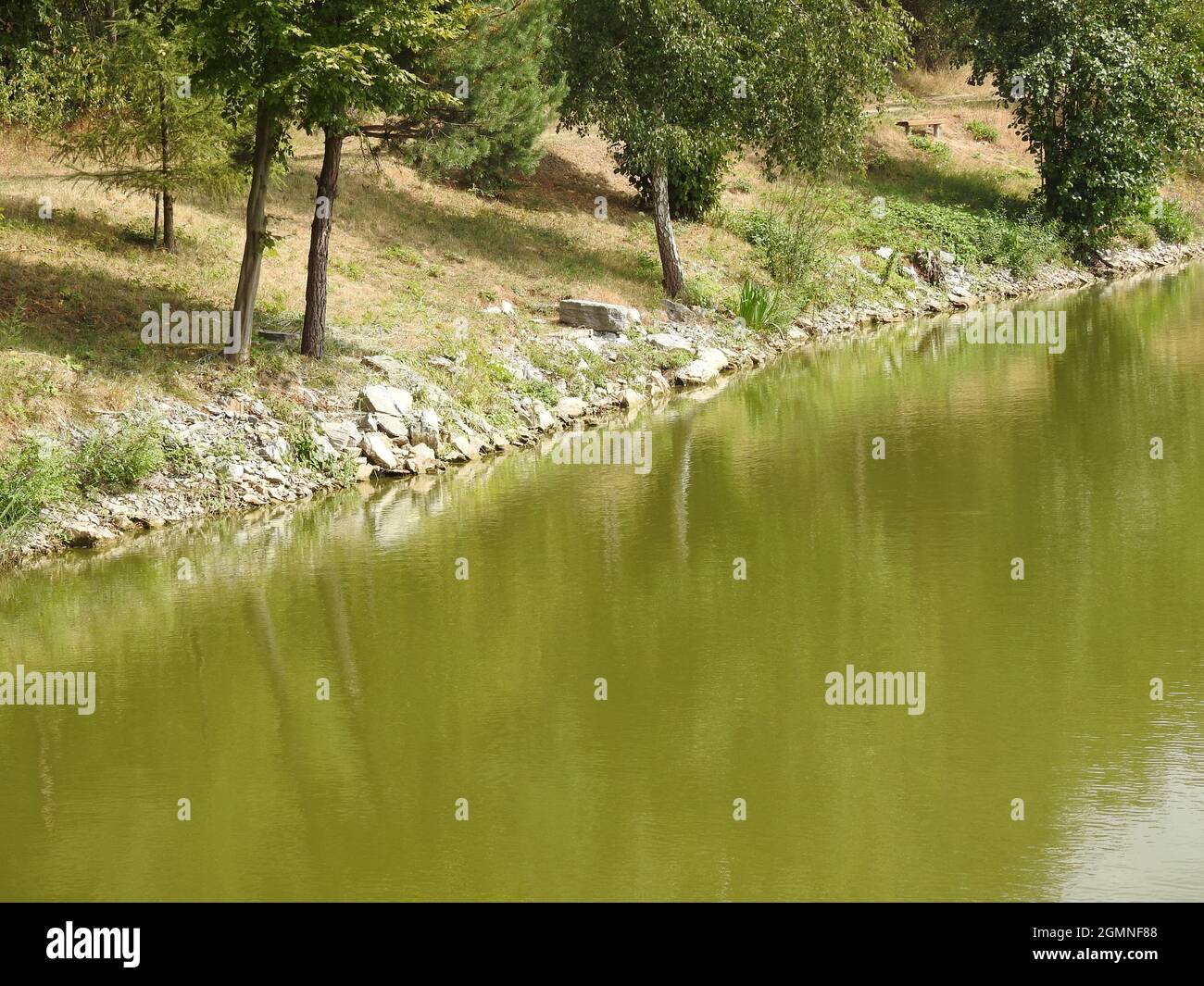 River near the trees Stock Photo - Alamy