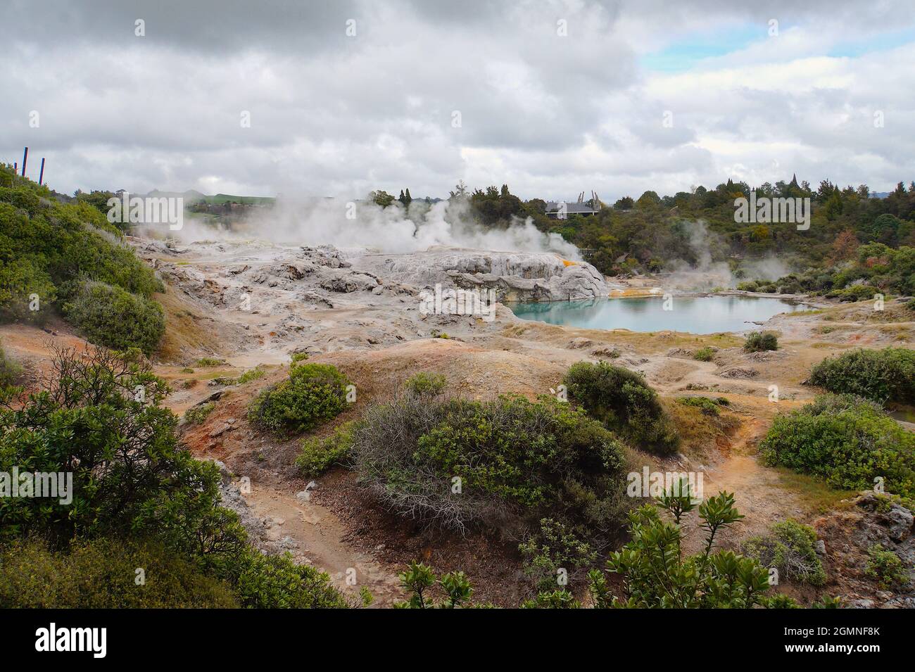 Whakarewarewa pohutu geyser hi-res stock photography and images - Alamy