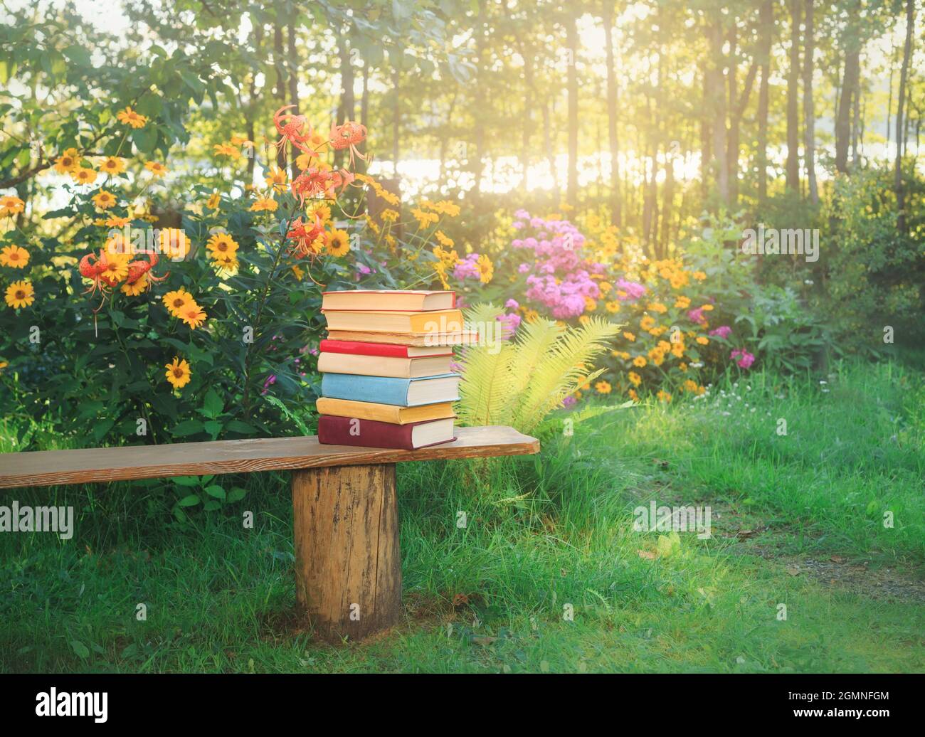 Books are laying on a vintage bench at sunset. Toned Stock Photo - Alamy