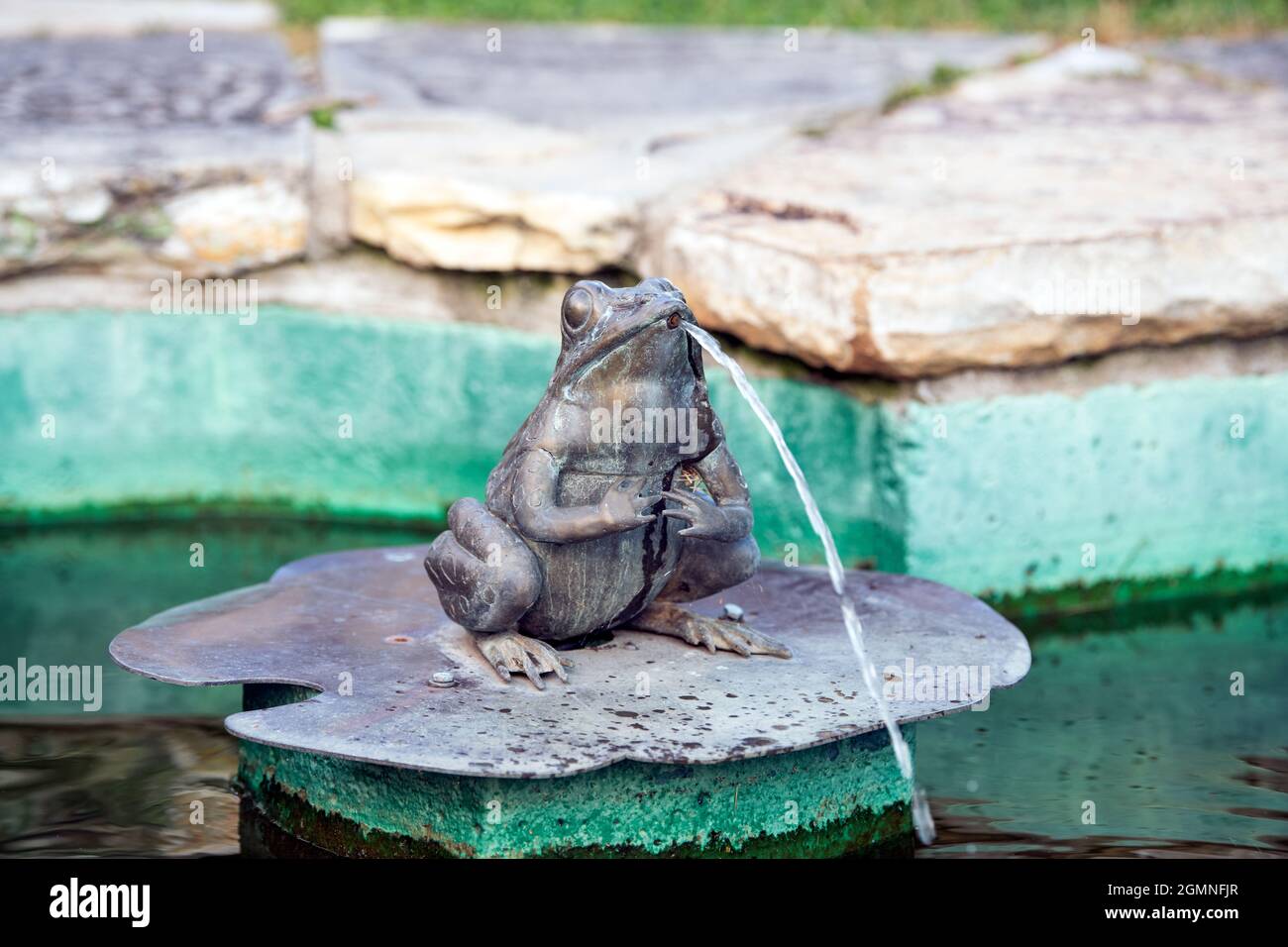 Frog fountain - statue of a frog on a lily pad with water spouting from ...