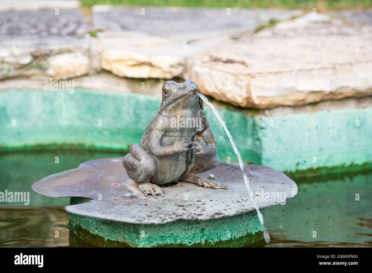 Frog garden fountain frog fountain hi-res stock photography and images ...