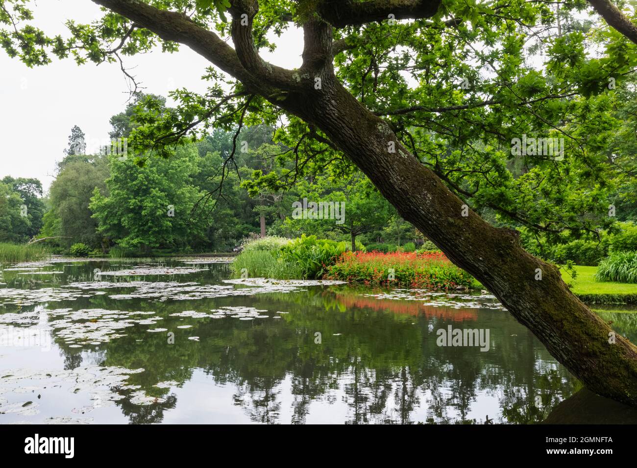 England, Hampshire, Test Valley, Stockbridge, Longstock, Leckford ...