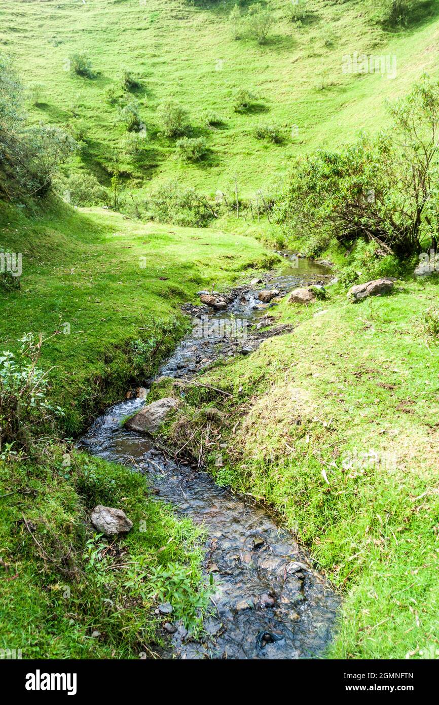 Small creek in mountains of Ecuador Stock Photo - Alamy