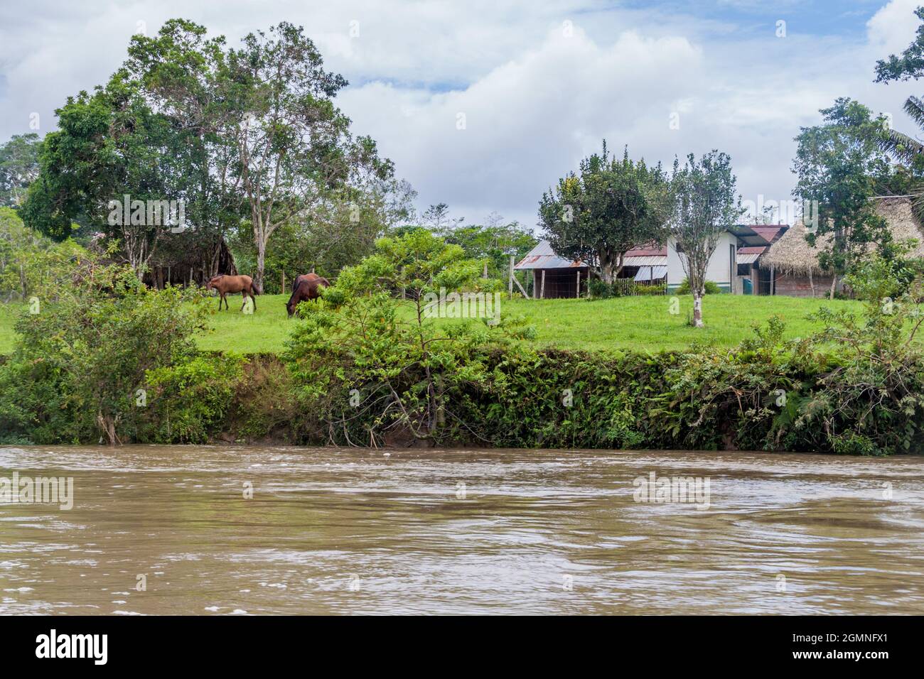 Village by river Napo, Ecuador Stock Photo - Alamy