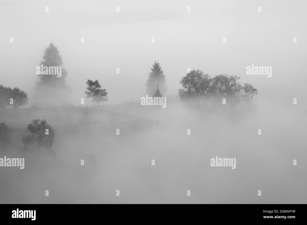 Aerial forest edge Black and White Stock Photos & Images - Alamy