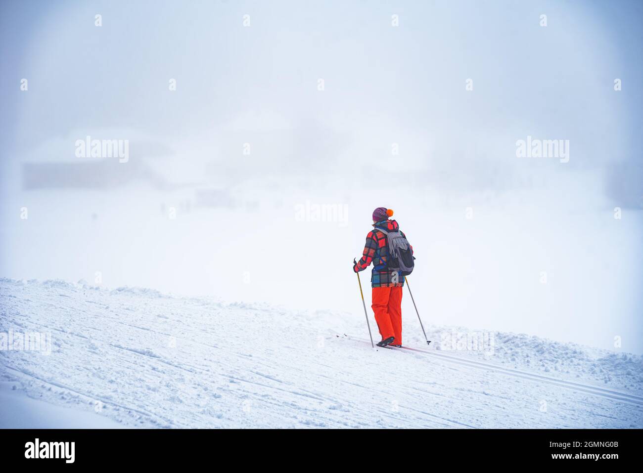 Woman skiing in snow covered valley in winter misty day. Back view ...