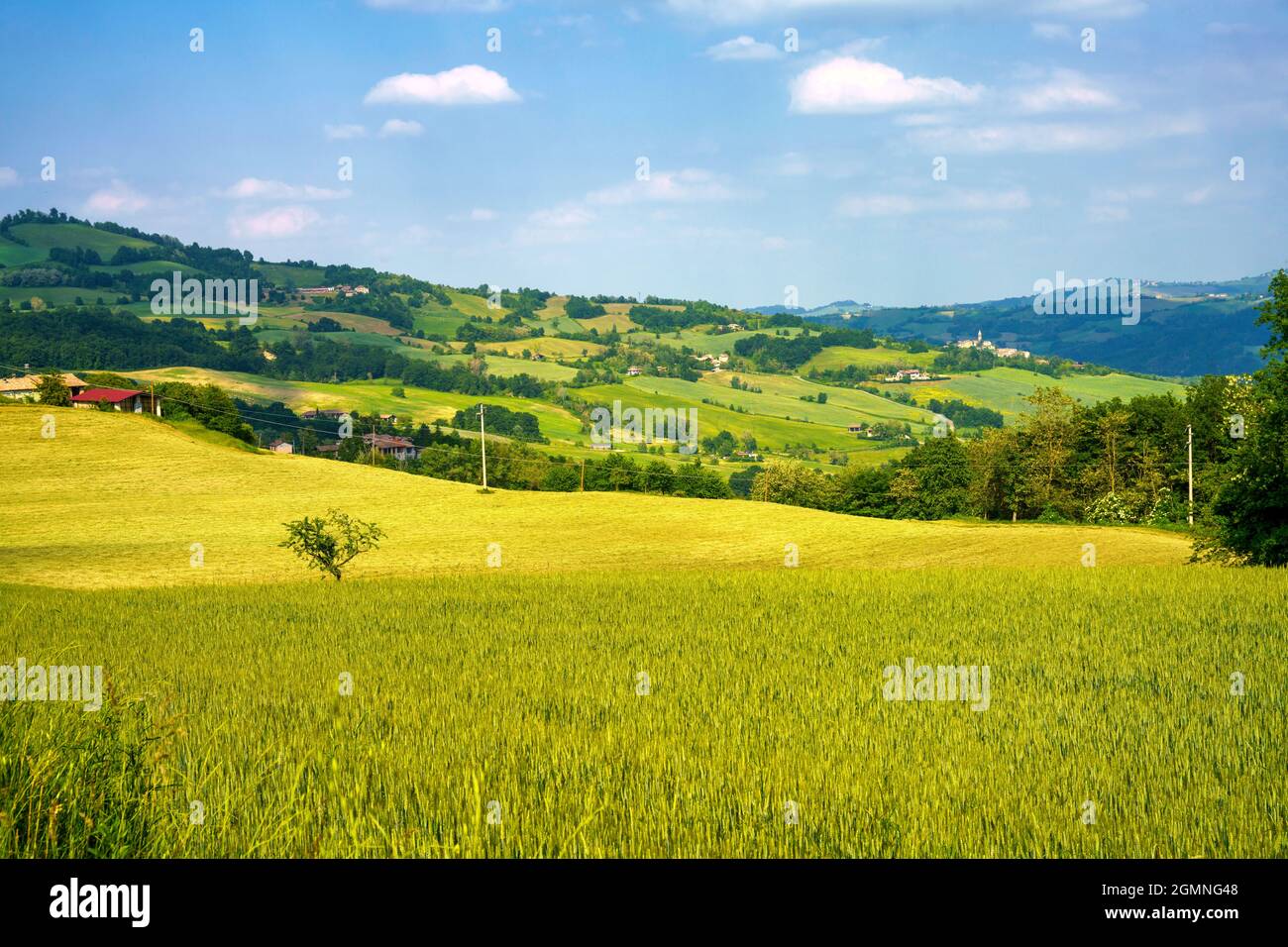 Rural landscape near Nibbiano, Piacenza province, Emilia-Romagna, Italy ...