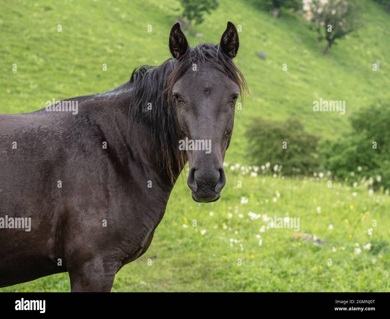 Sideways head hi-res stock photography and images - Alamy